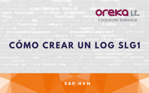 Cómo crear un LOG SLG1 | Oreka IT